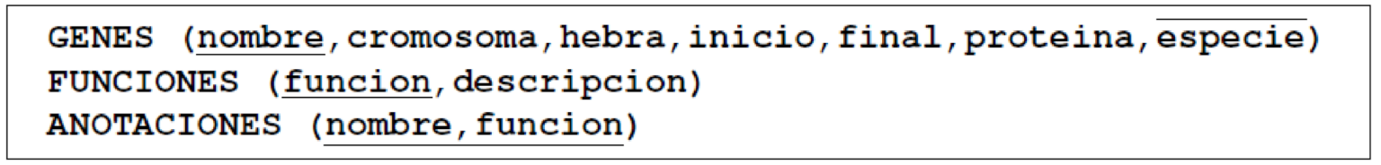 Gestión de datos | 1.2. El modelo entidad-relación